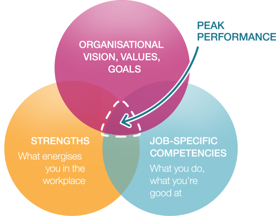 Strengthscope - Numensa